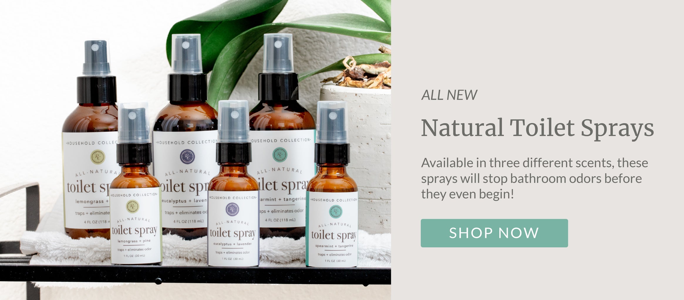 All Natural Products Company | Rowe Casa Organics